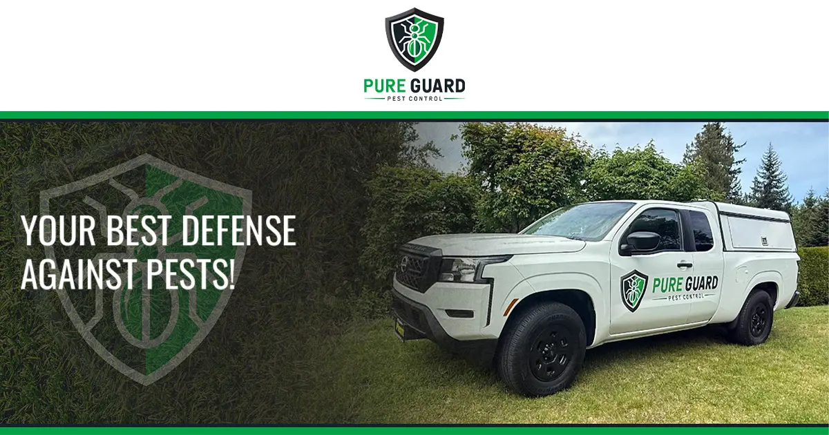 Pest Control Lake Stevens | Pure Guard Pest Control